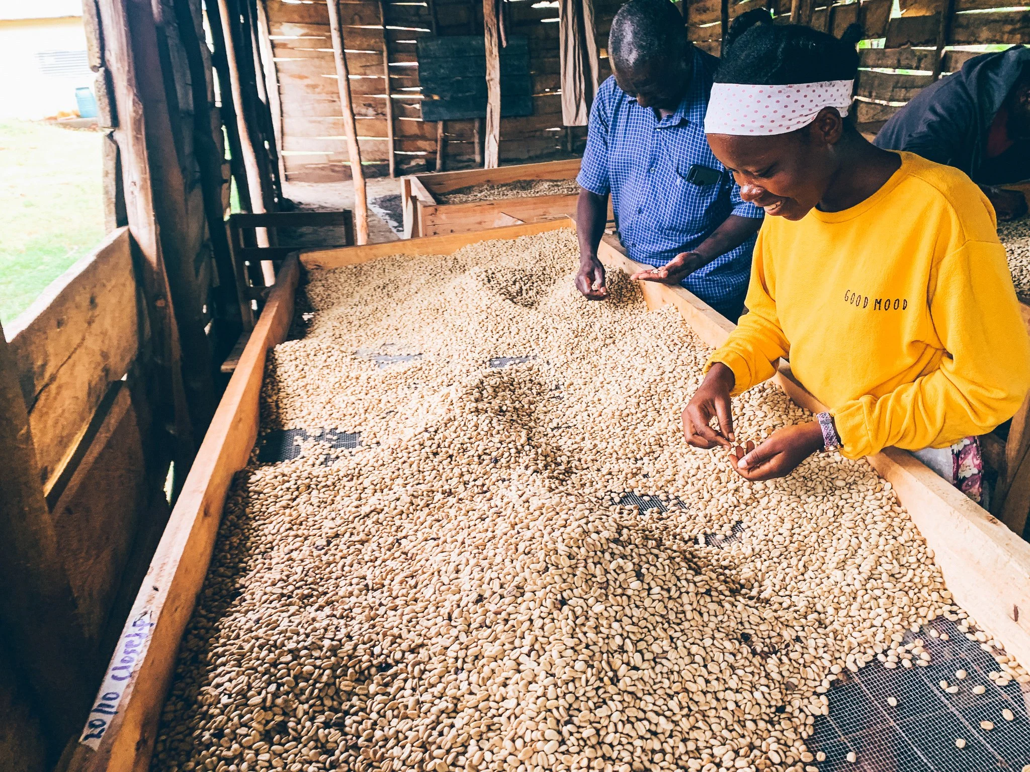 Premium Coffee — Vista Bean