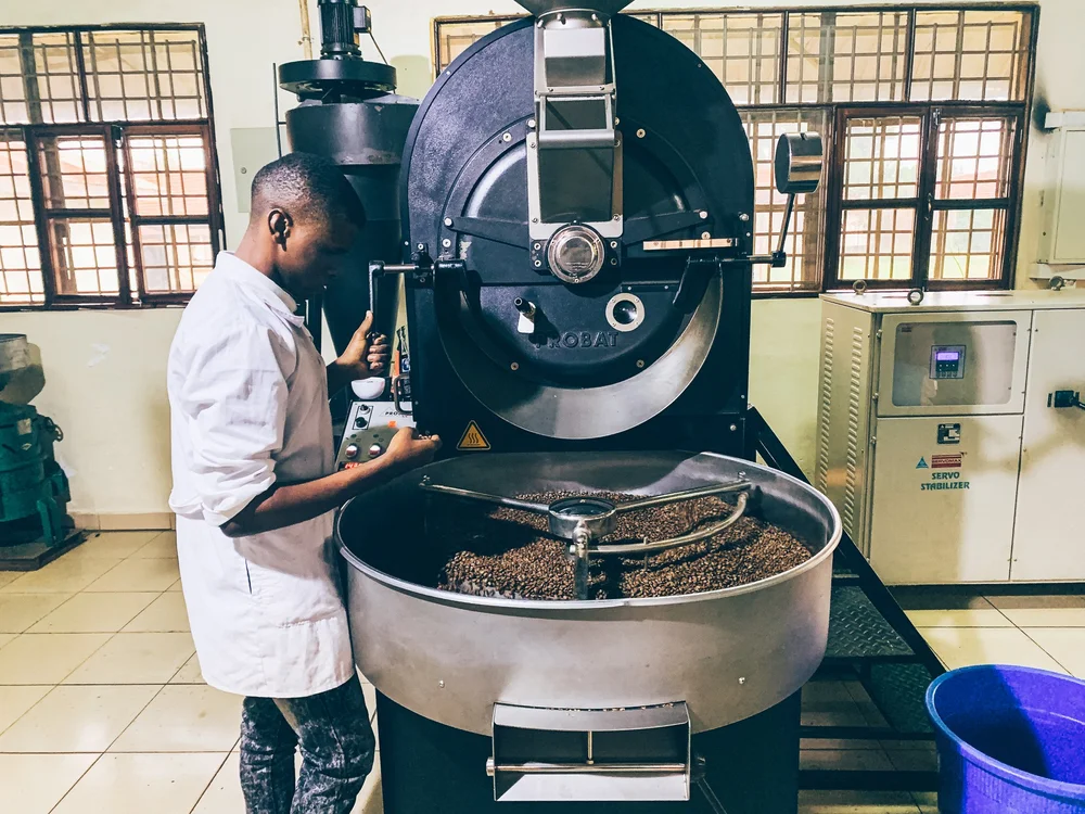 About — Vista Bean