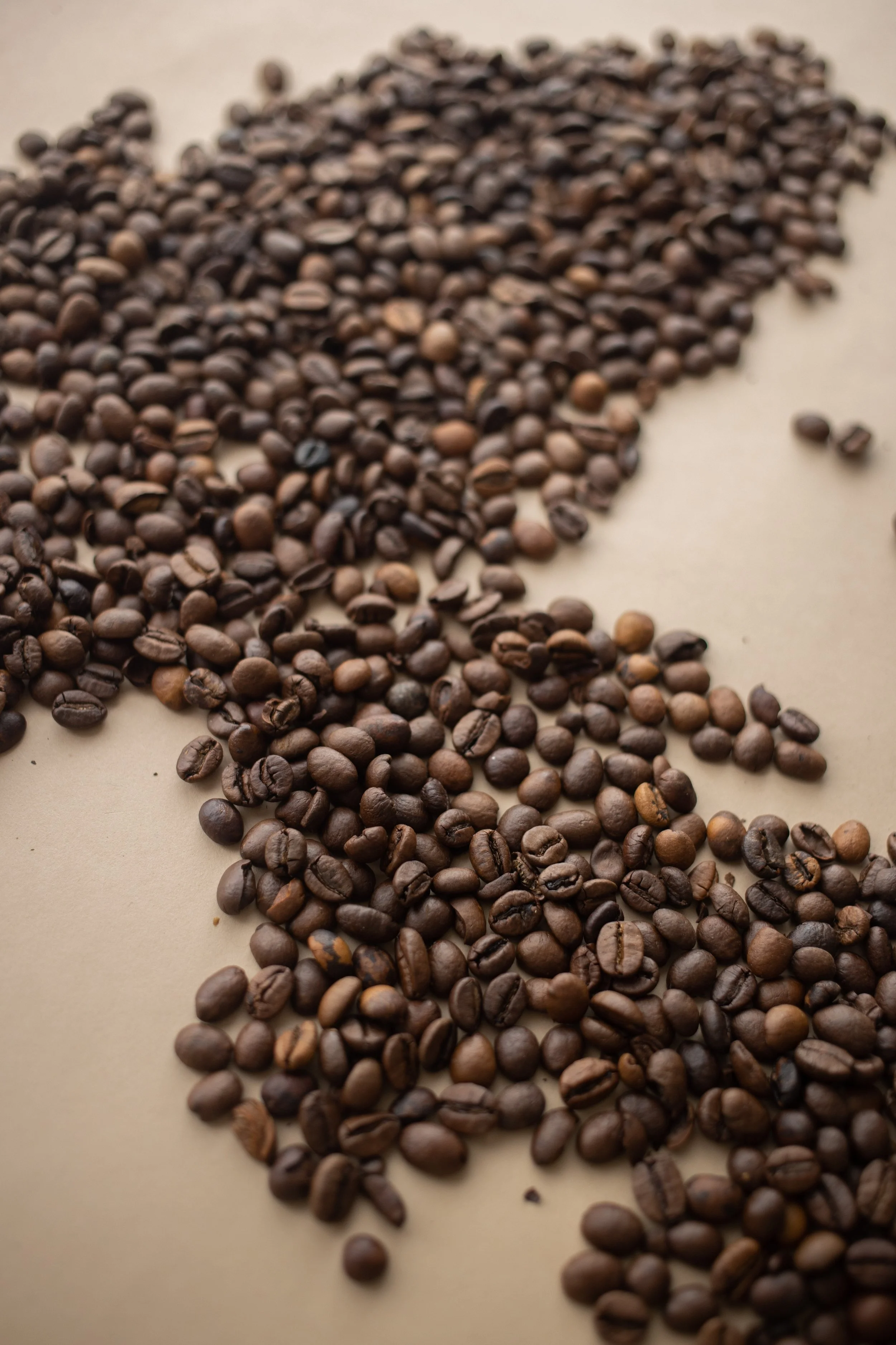 Vista Bean Premium Coffee Roasters