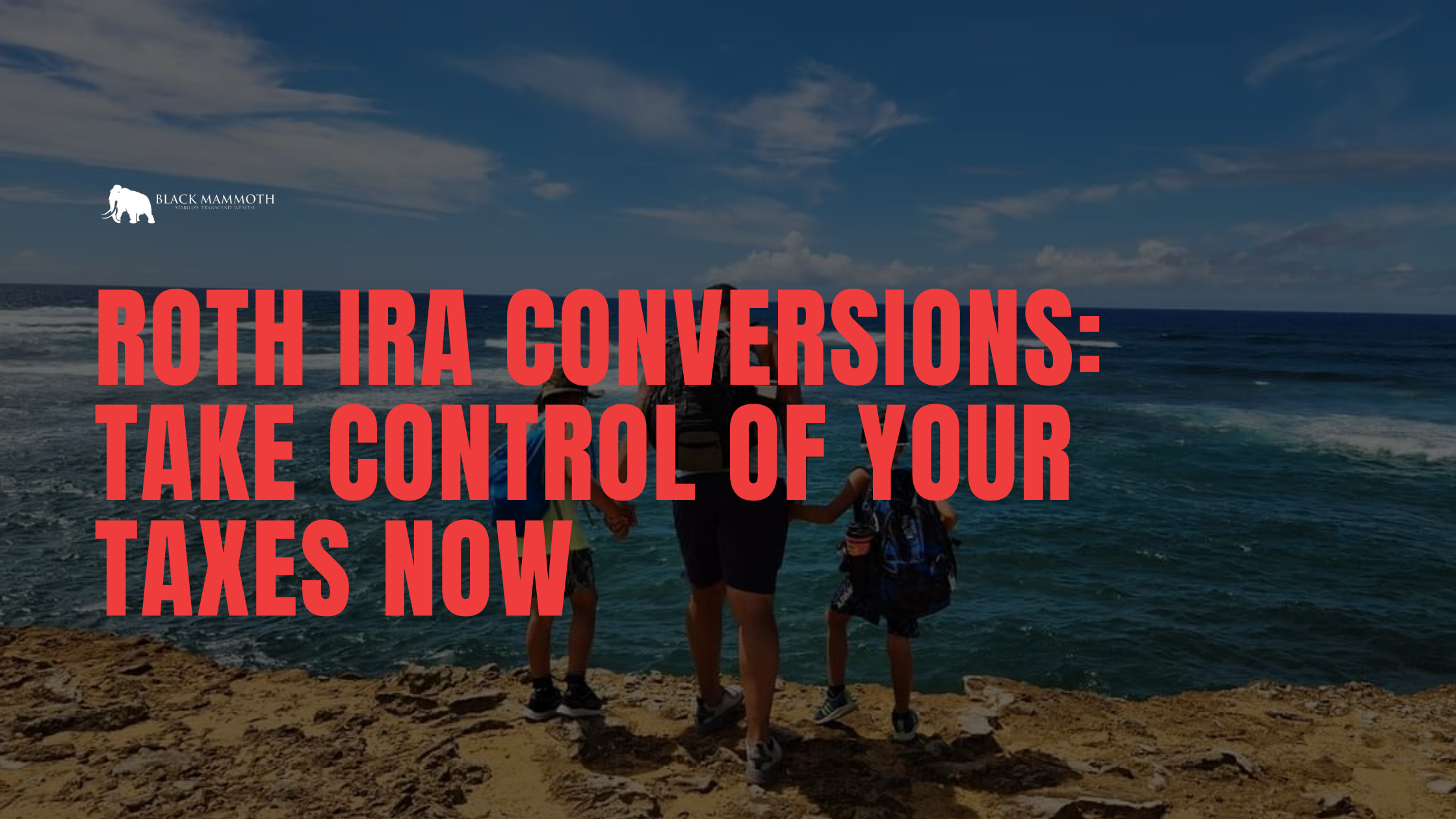 Roth IRA Conversions: Take Control of Your Taxes Now — Black Mammoth ...