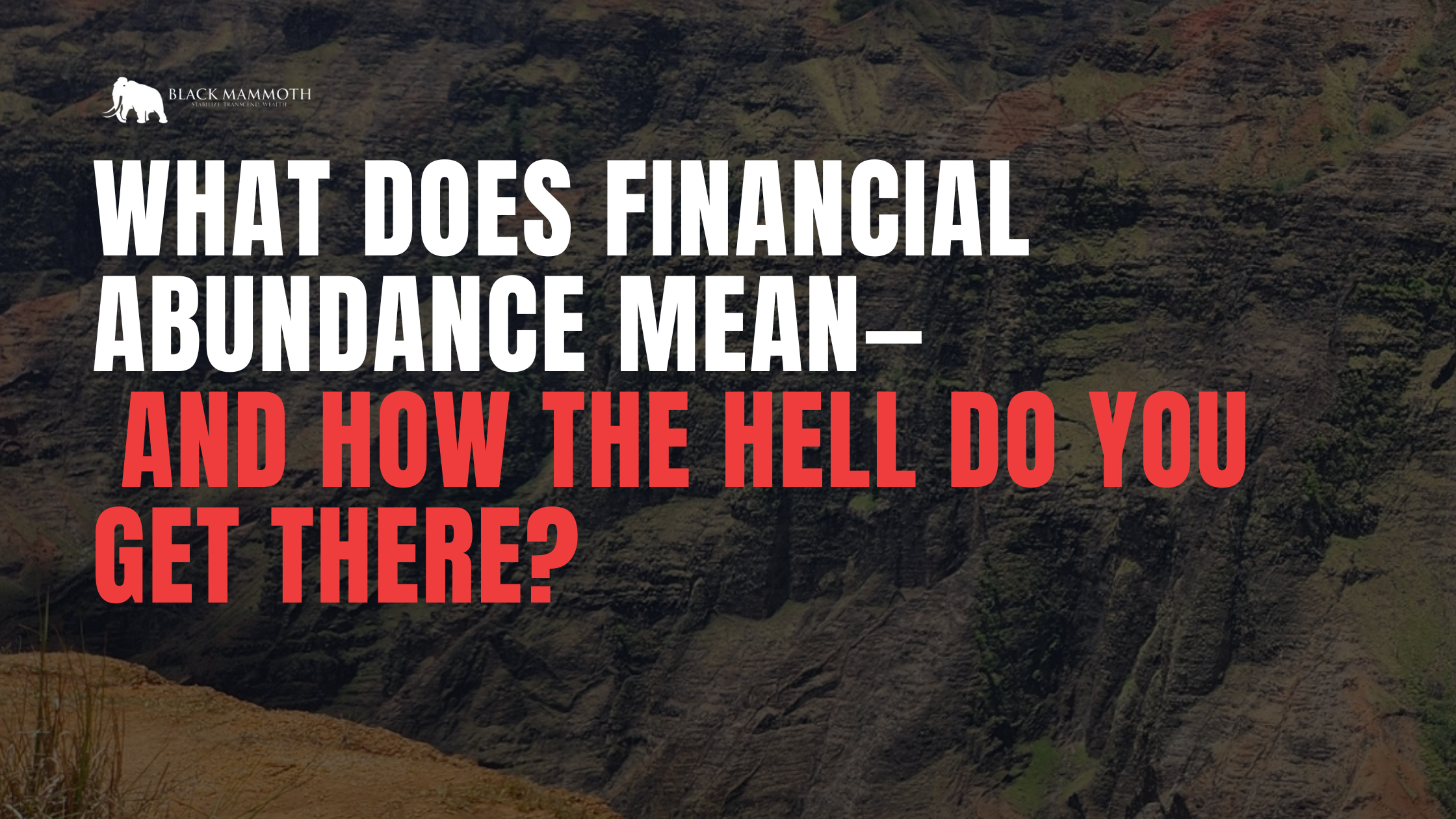 What Does Financial Abundance Mean—And How the Hell Do You Get There ...