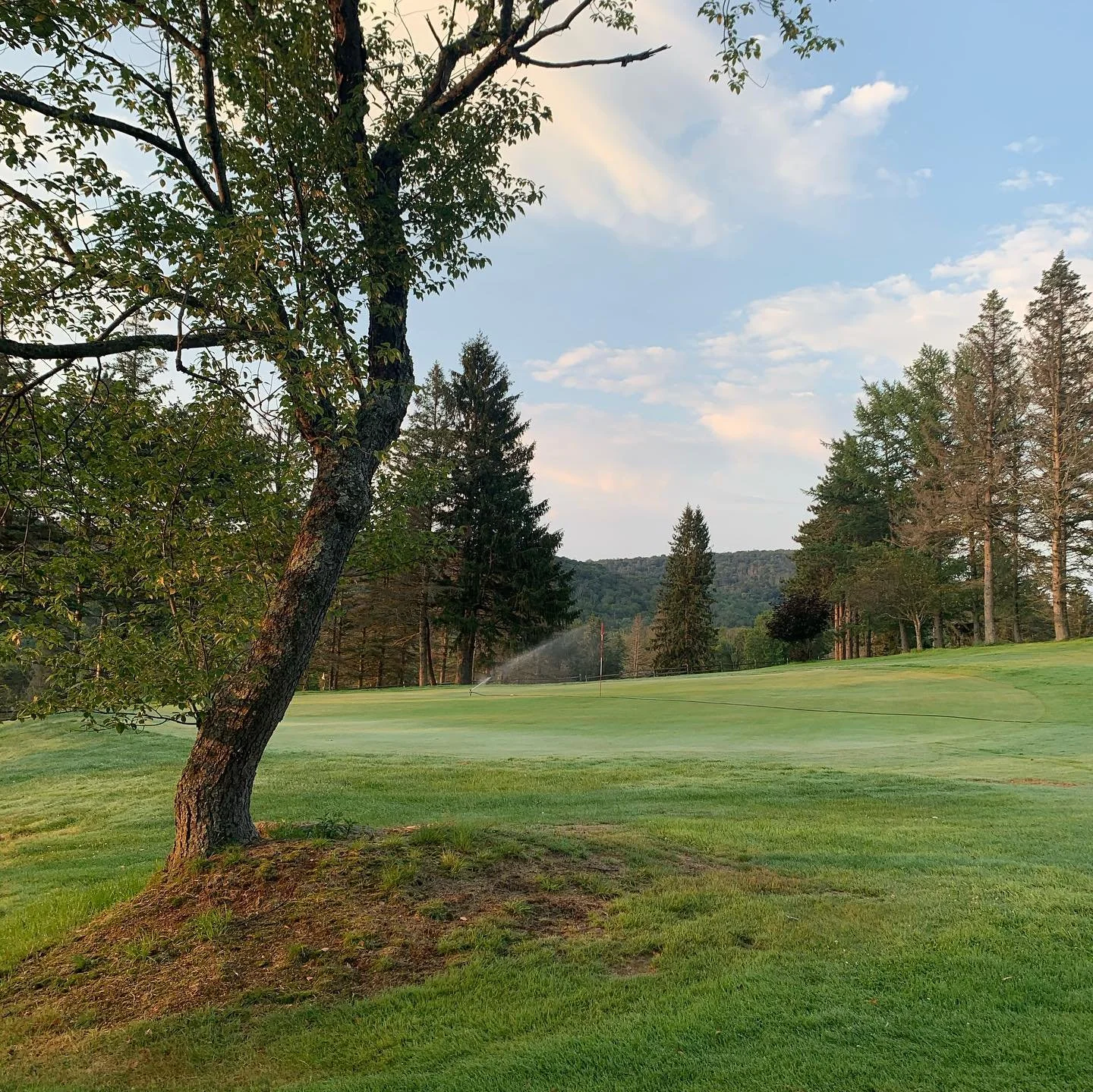 Gallery — HOMESTEAD GOLF COURSE