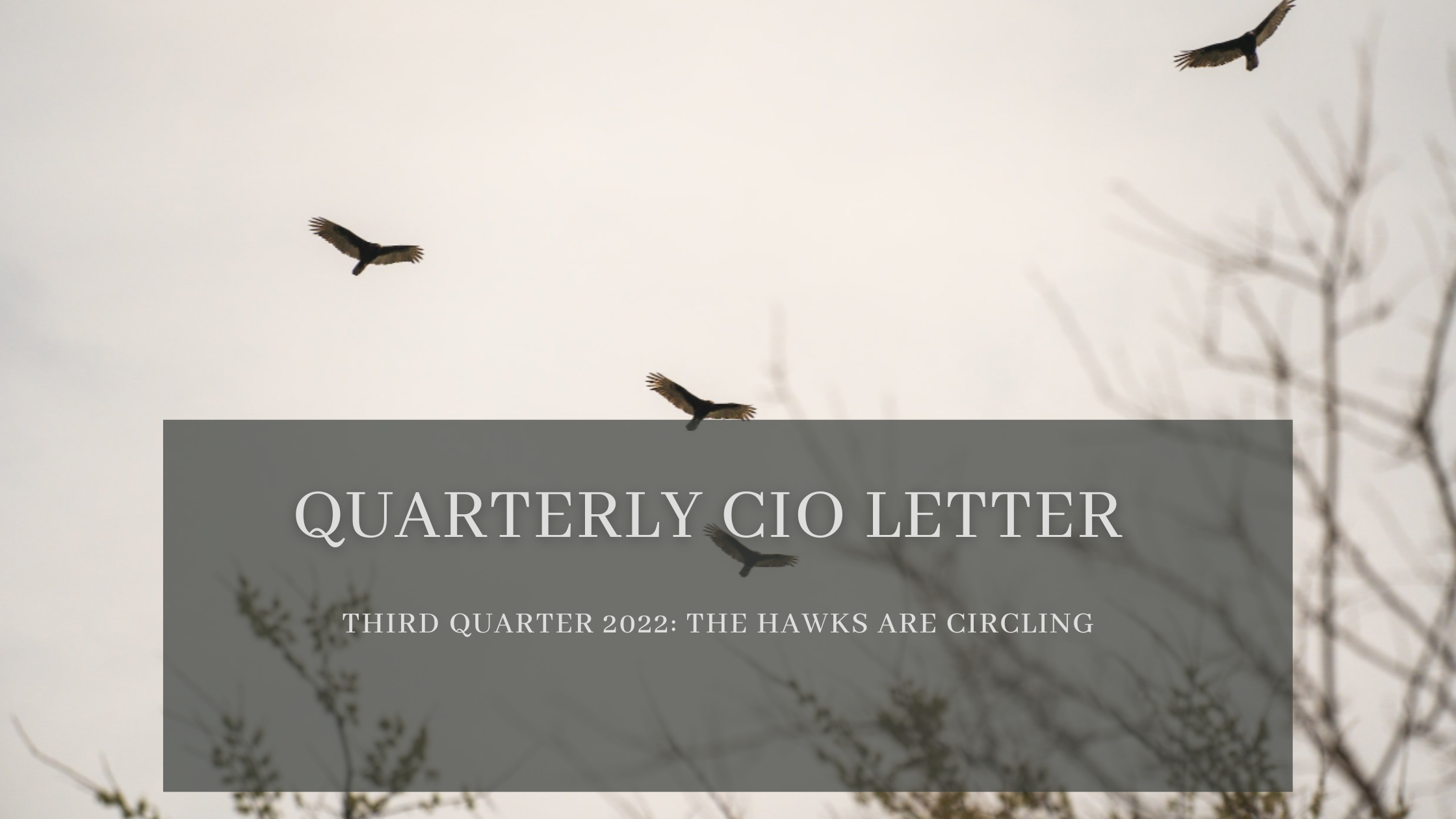 Blog and Chief Investment Officer (CIO) Quarterly Letters — Stone Creek ...