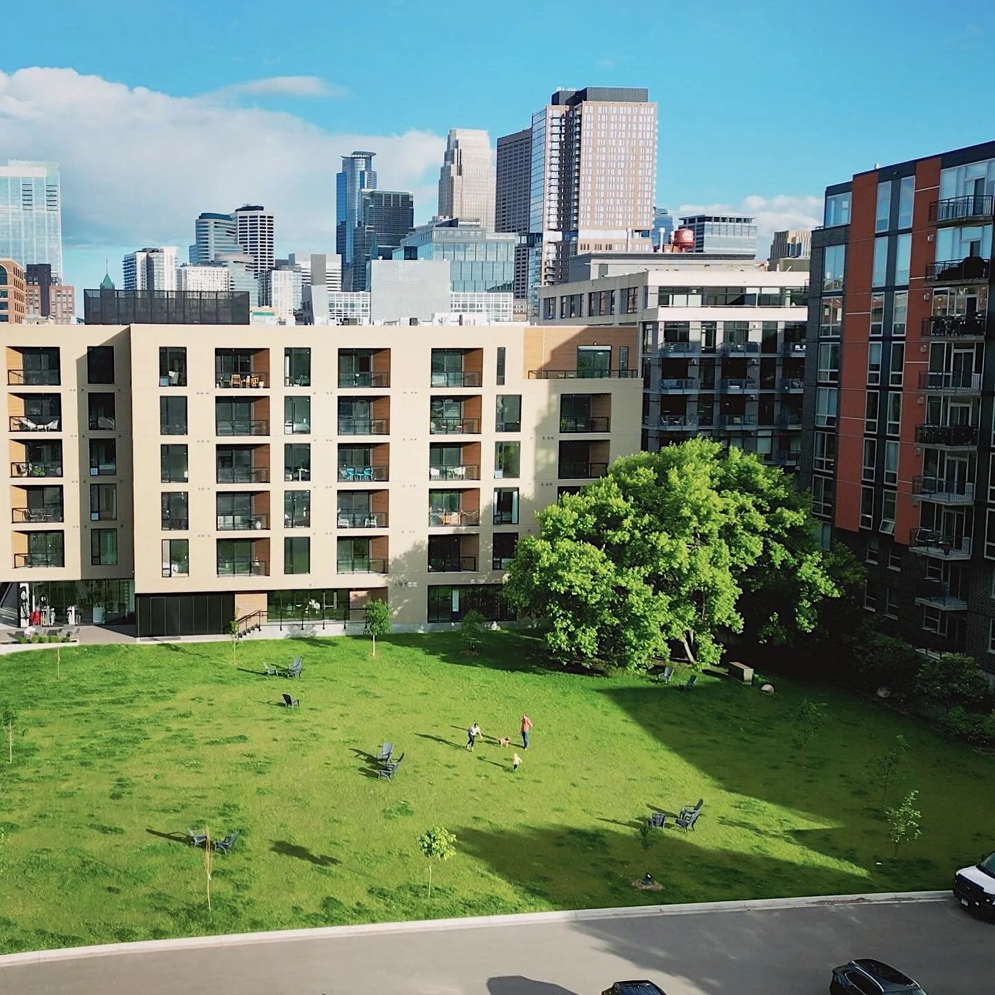 New North Loop Dog Park? 🐕 — Conrad Lange Zbikowski