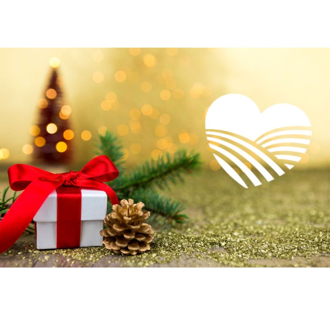 donation shop — Open Heartland