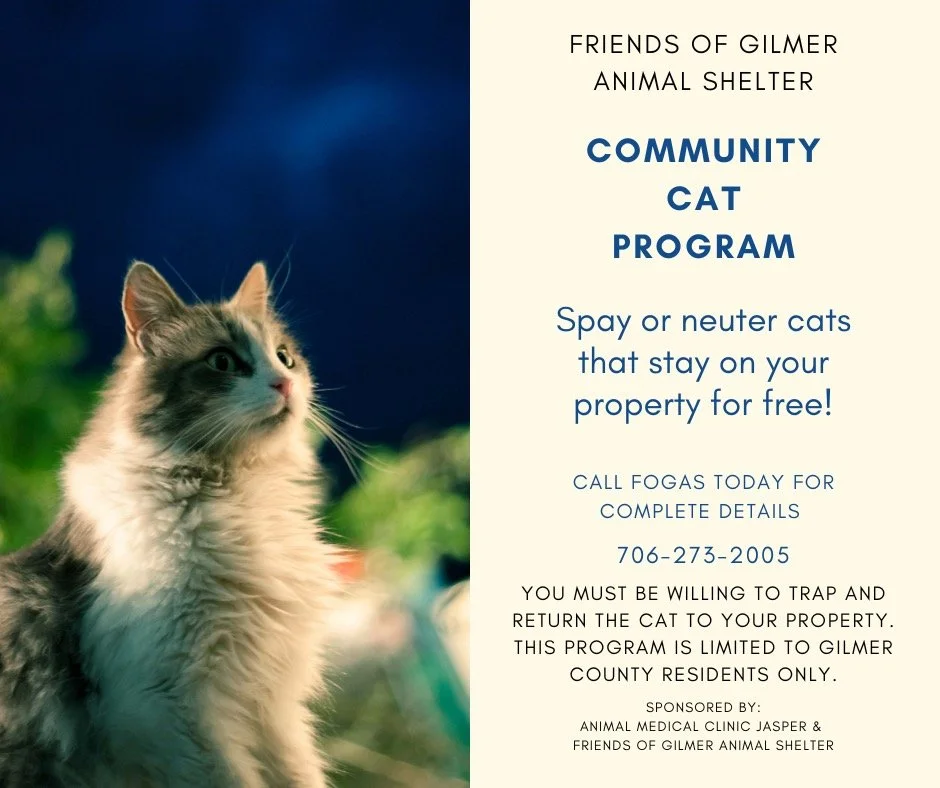 Community Cat Colony Program — Friends of Gilmer Animal Shelter