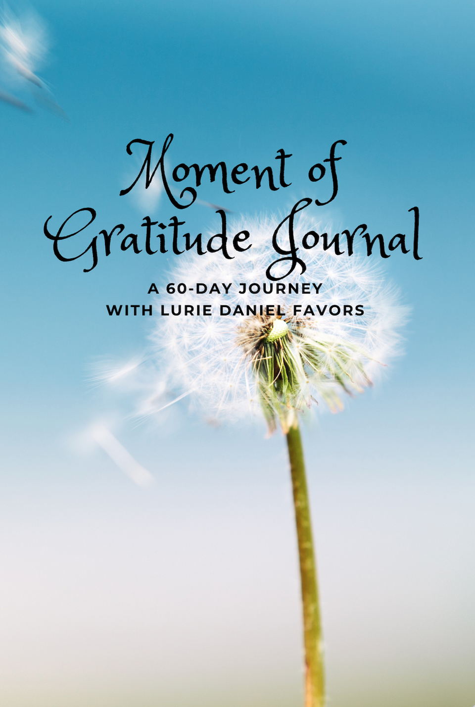 Moment of Gratitude Journals with Lurie Daniel Favors — Lurie Daniel Favors