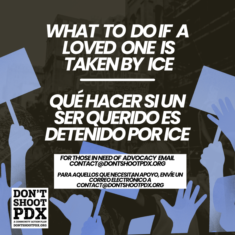 What to do after a loved one is taken by ice [know your rights info ...