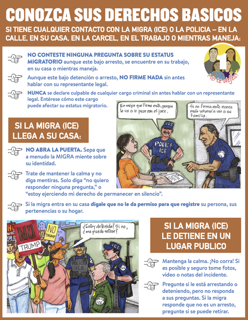 What to do after a loved one is taken by ice [know your rights info ...