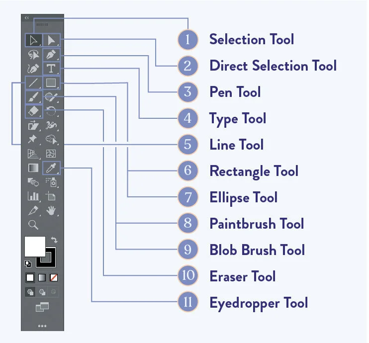 The 11 Illustrator Tools You Need To Know To Start Designing Today ...
