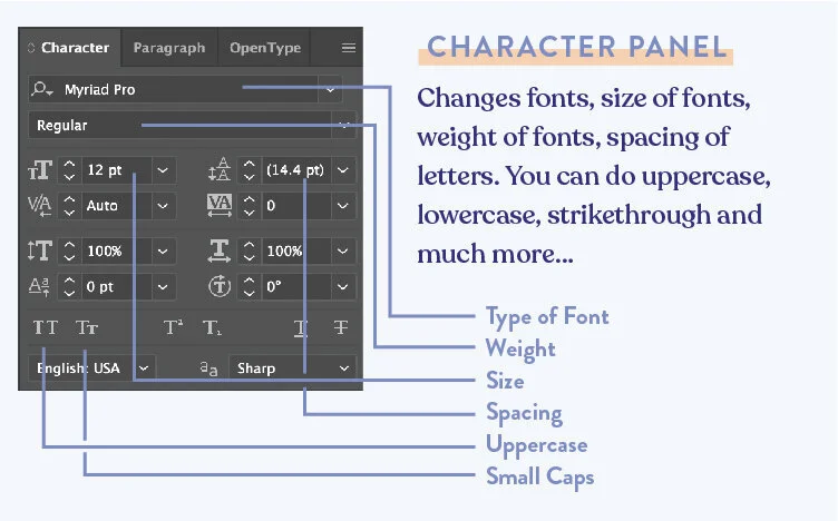 The 11 Illustrator Tools You Need To Know To Start Designing Today ...