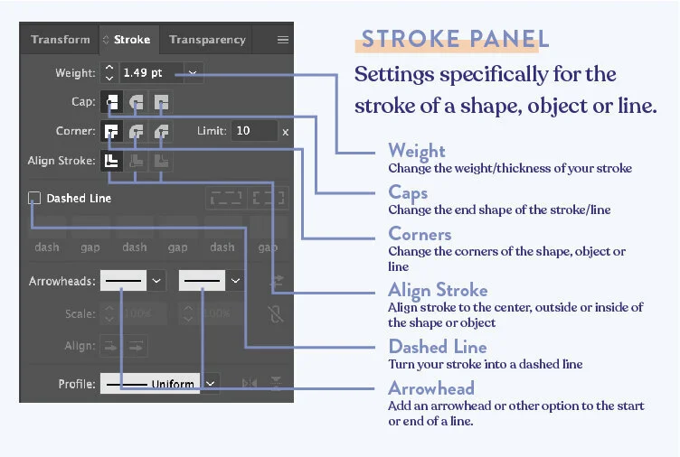The 11 Illustrator Tools You Need To Know To Start Designing Today ...