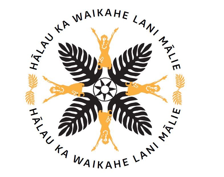 Book a Class — The Hula Journey