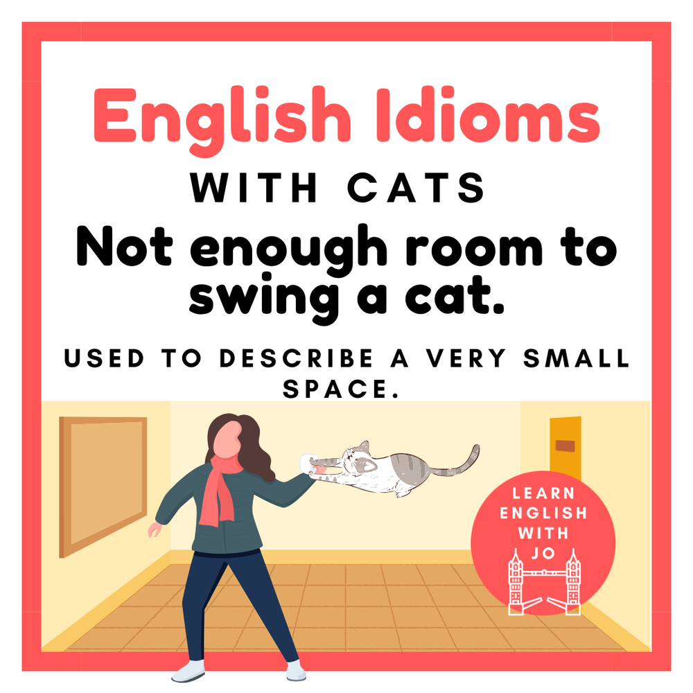 English idioms with cats — Learn English With Jo