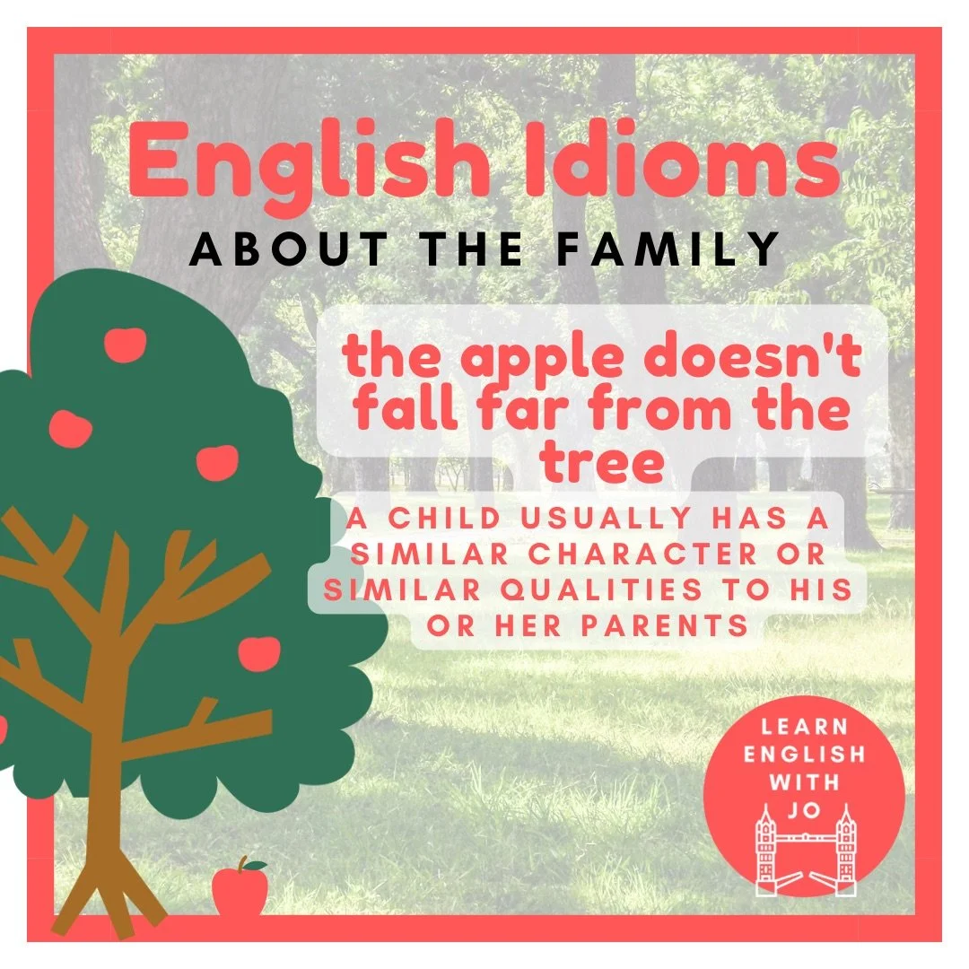 12 English idioms for talking about family. — Learn English With Jo