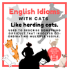 English idioms with cats — Learn English With Jo