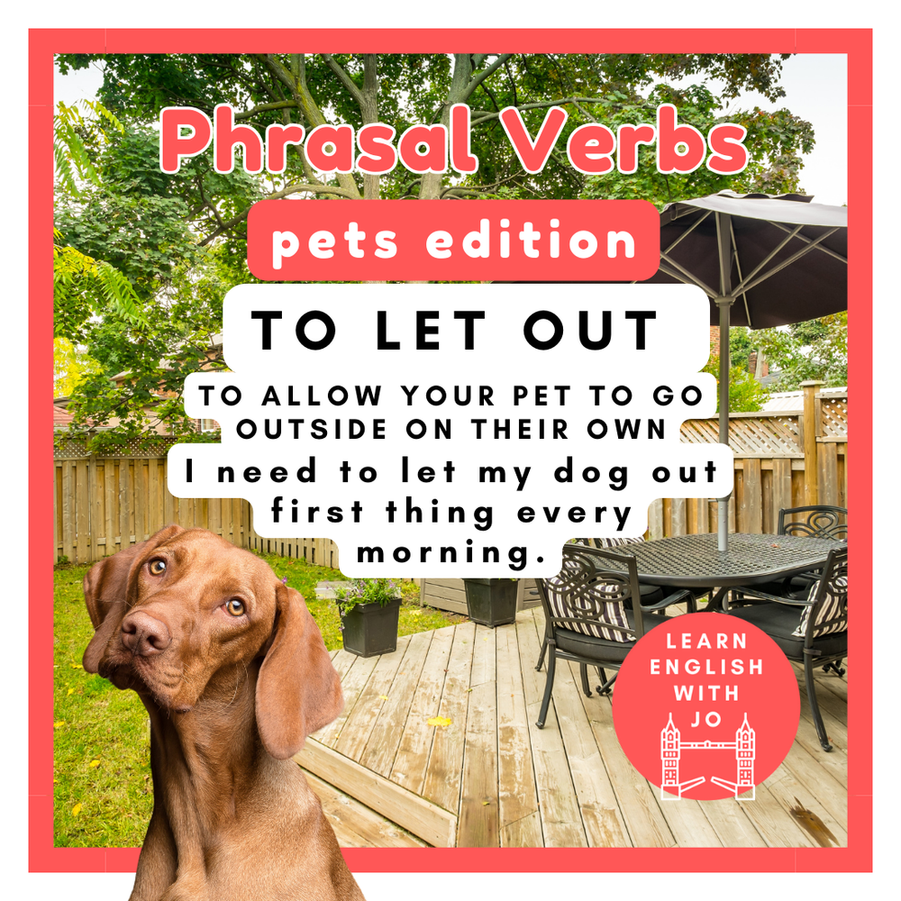 English phrasal verbs for talking about our pets. — Learn English With Jo