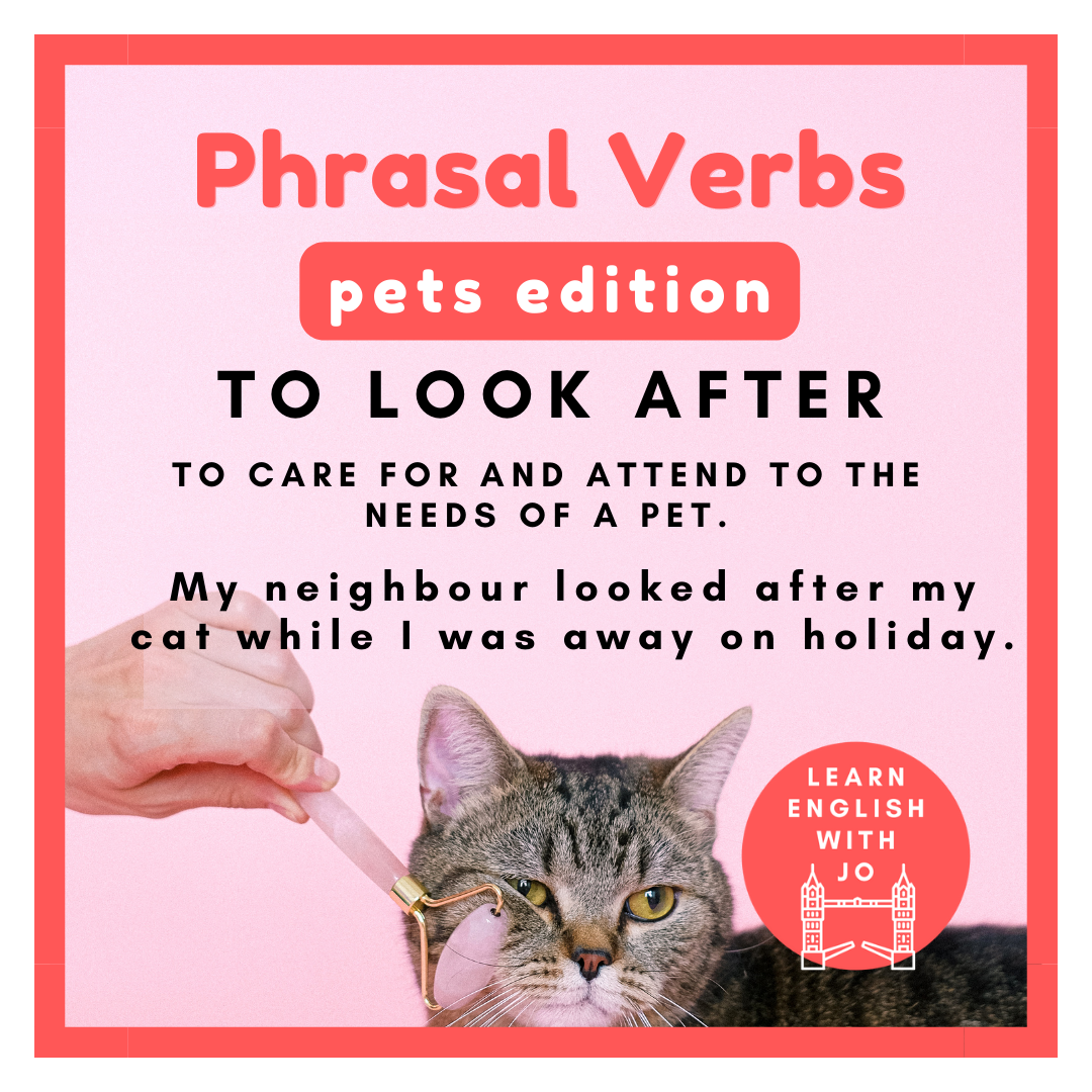 English phrasal verbs for talking about our pets. — Learn English With Jo