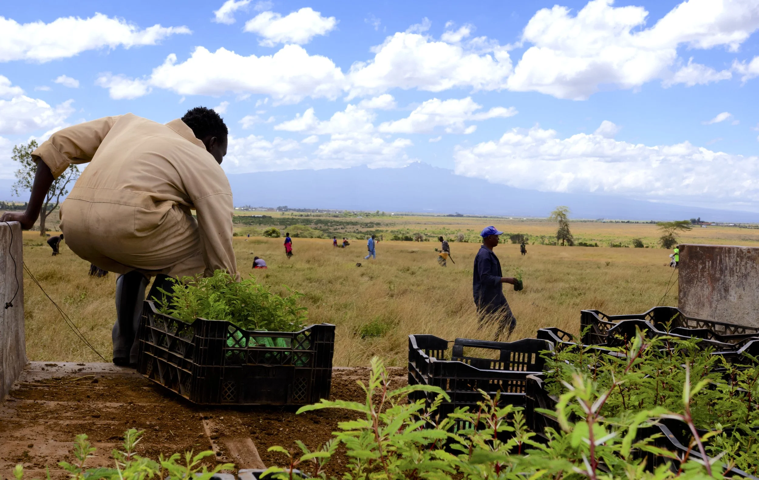 THE ZEITZ FOUNDATION