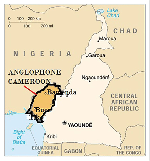 Conflict in Cameroon: The Cost to a Nation — GRG