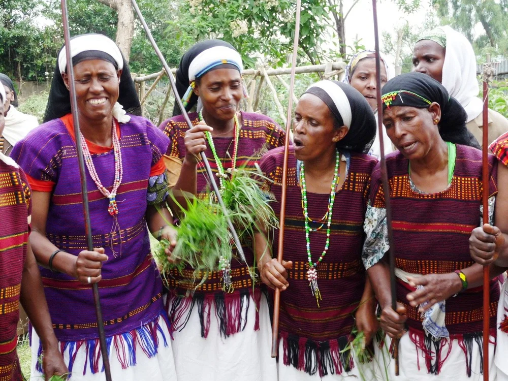 Background — Siinqee Institute