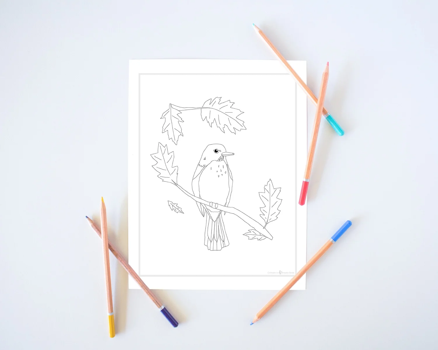 Printables — Angela Doak