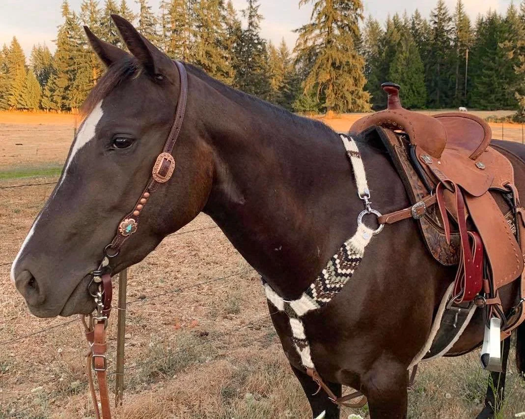 Mohair Wither Strap | 100% Mohair Horse Tack Mohair Horse Tack Sets | Breast Collars | Cinches ...