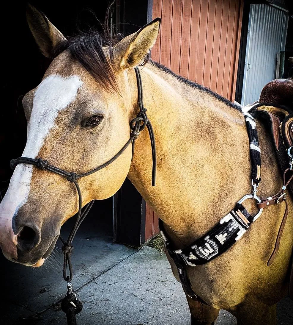 Mohair Wither Strap | 100% Mohair Horse Tack Mohair Horse Tack Sets | Breast Collars | Cinches ...