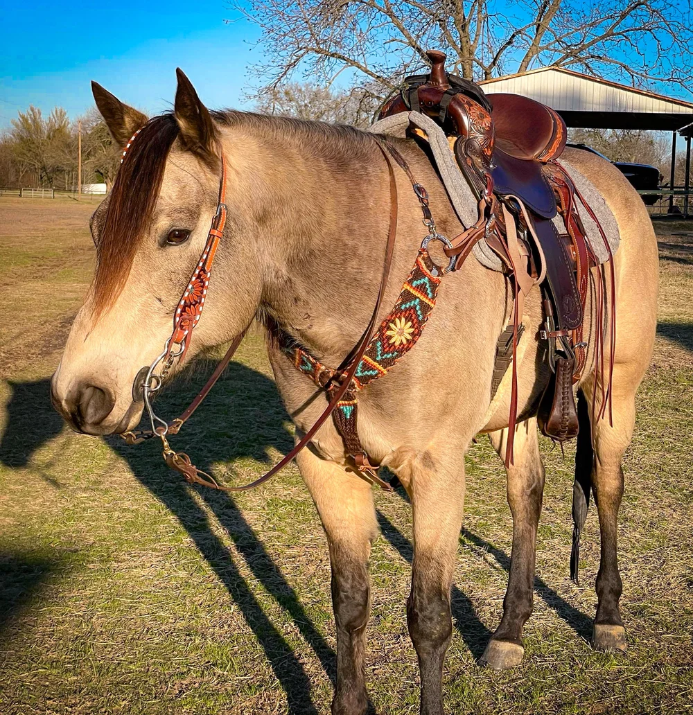 Mohair Breast Collars | 100% Mohair Horse Tack Mohair Horse Tack Sets ...