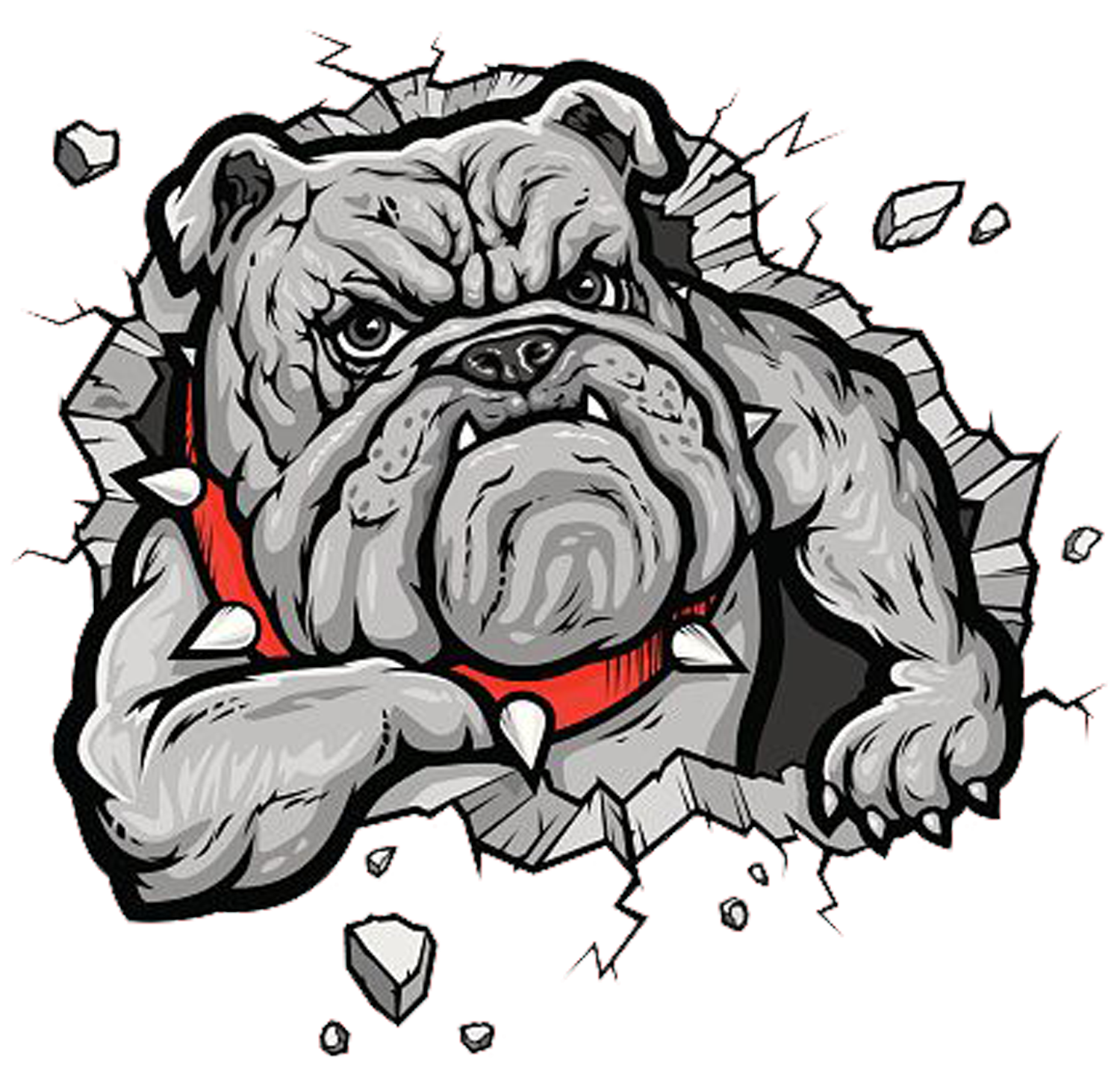 Bulldog Athletics — Thrive Academy