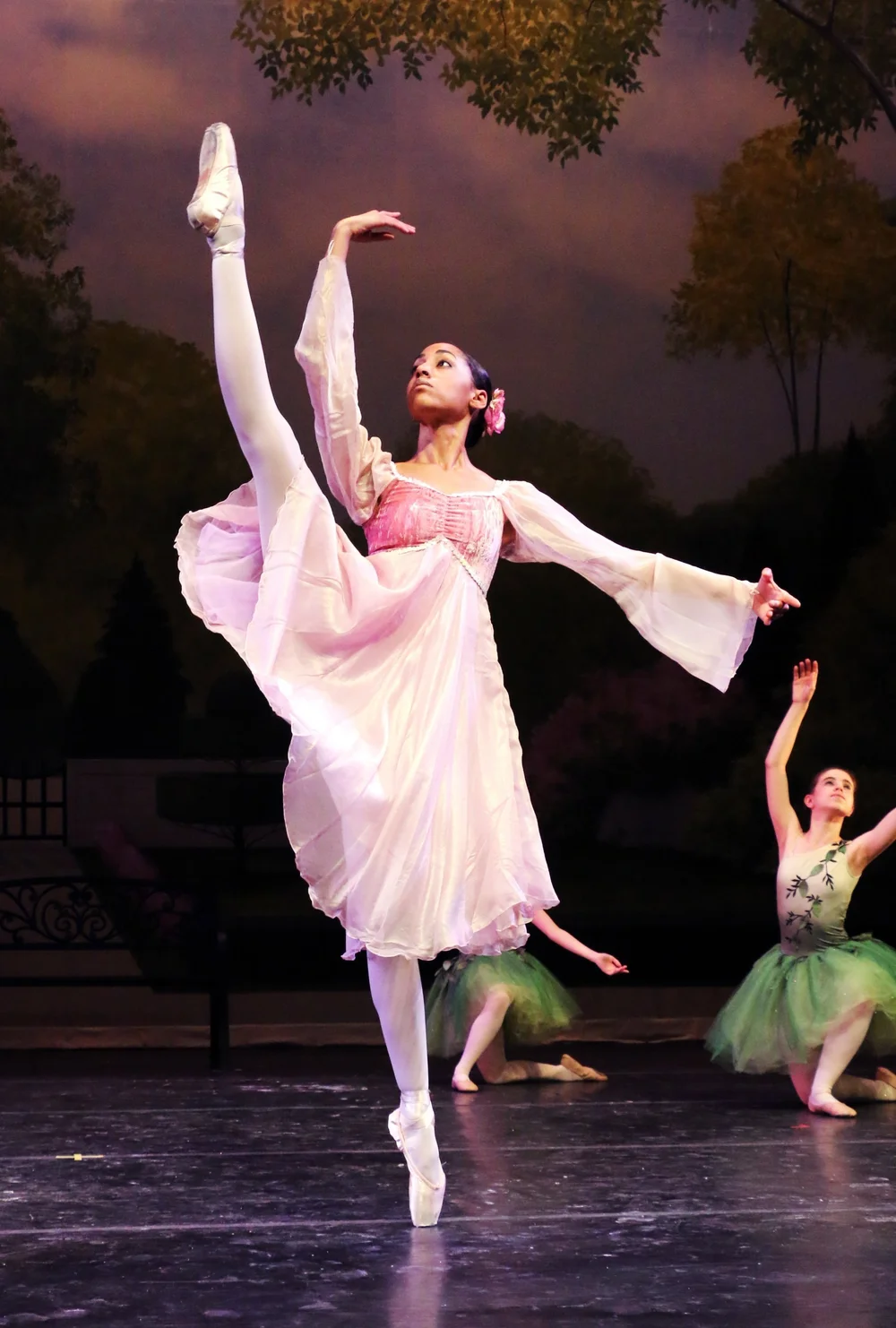 Our Story & Mission — New Bedford Ballet