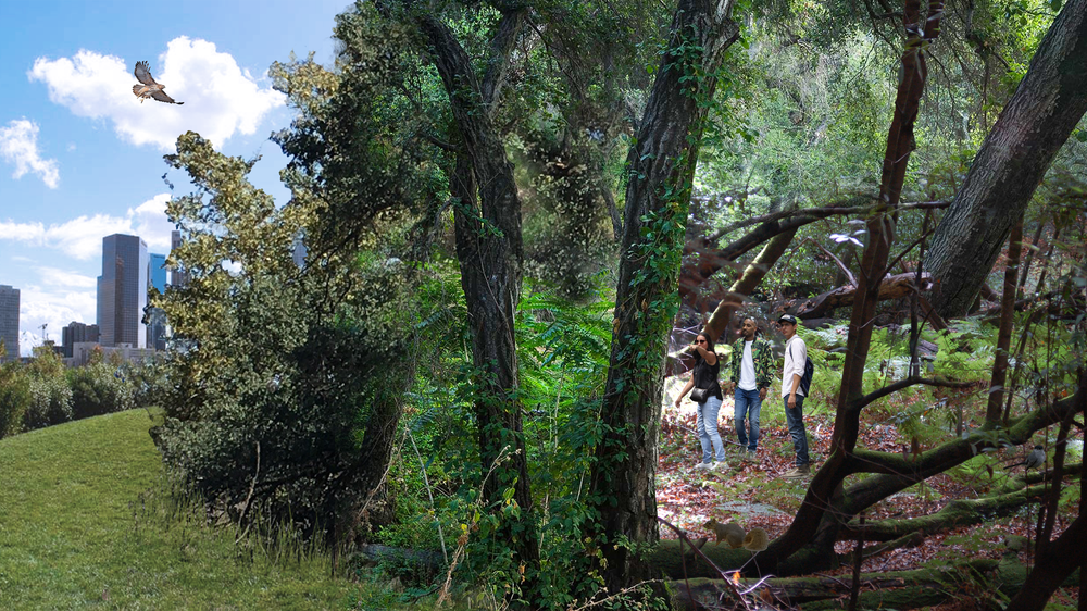 Before you plant — LA Micro Forests