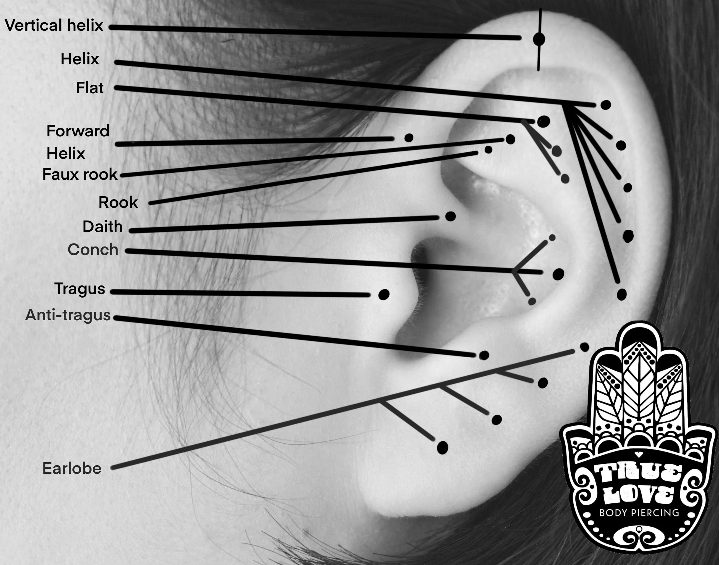 Pricing for Body Piercing Services provided by True Love — True Love ...