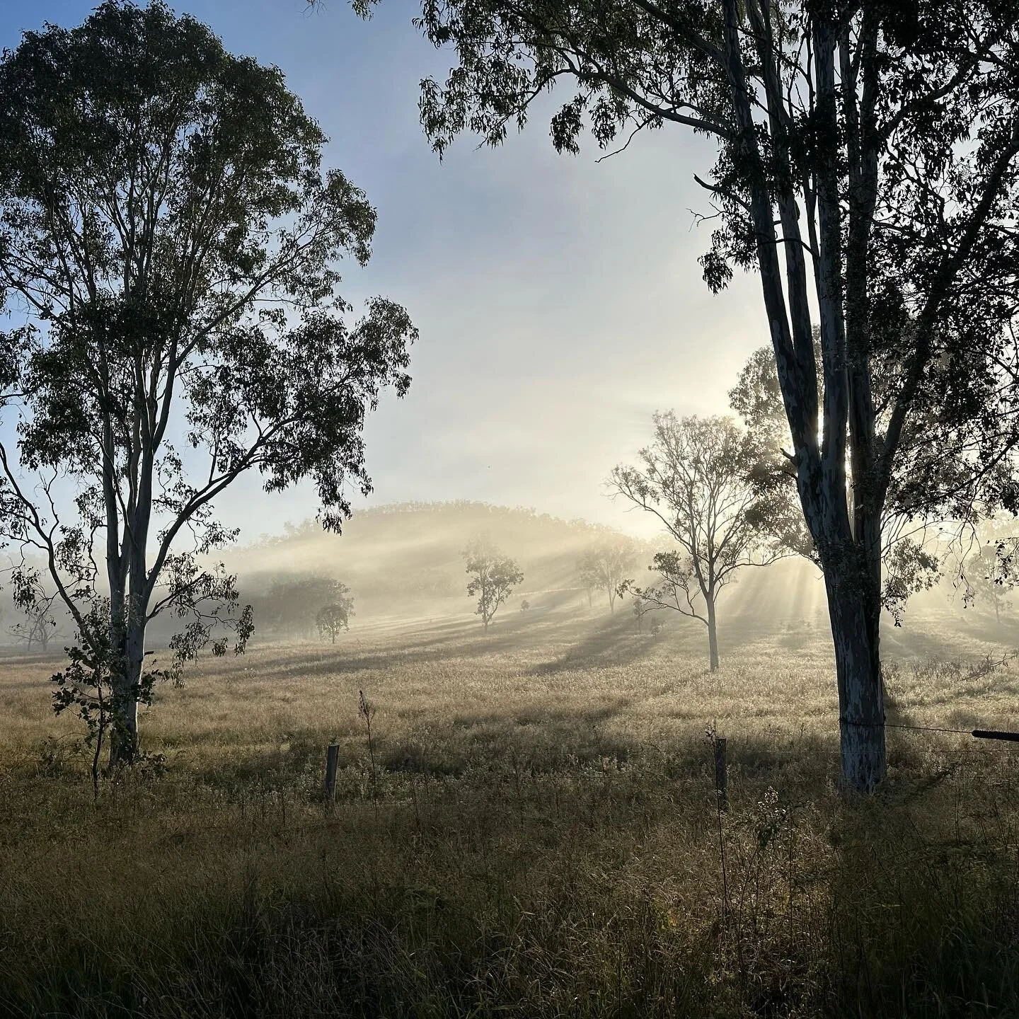 World Walk Expedition