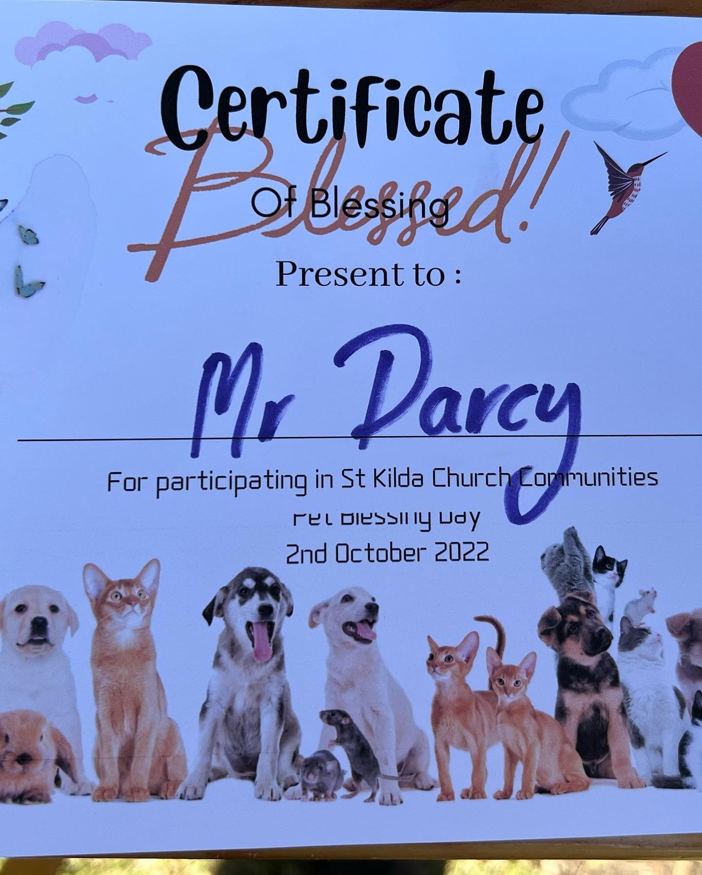 Seasonal Services — Holy Trinity Balaclava and Elwood