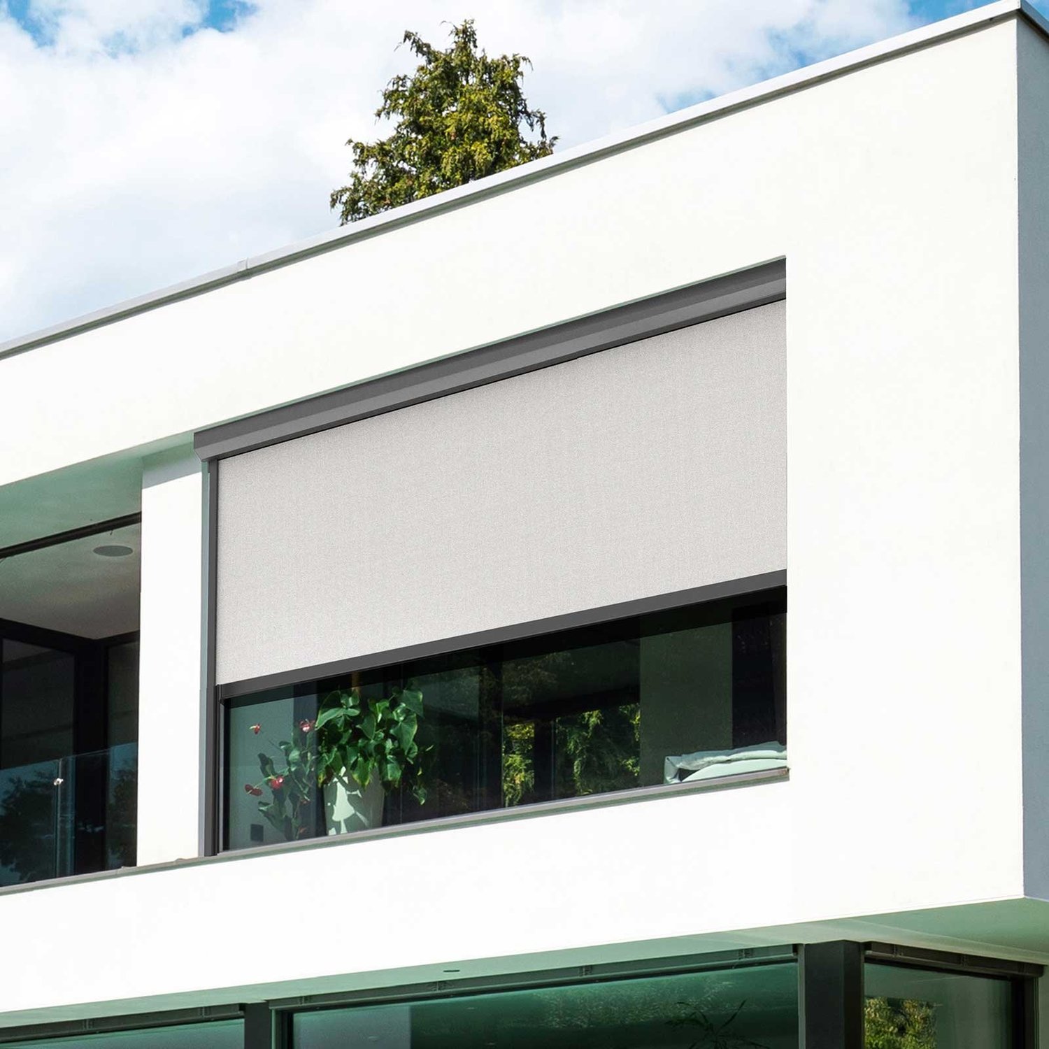 Exterior Zip Screens vs. Venetian Blinds: The Pros and Cons | Solar-Shield