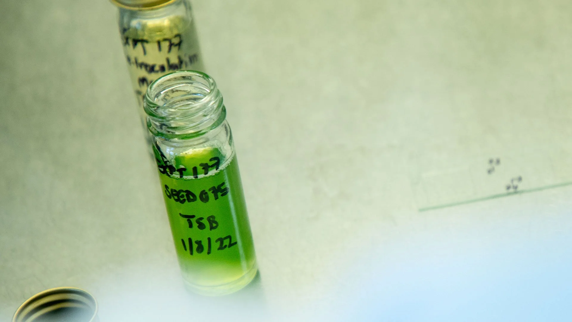 Axitan media — Axitan - Algal Biotechnology for Animal Agriculture