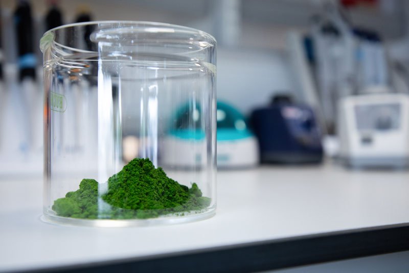 What we do at Axitan — Axitan - Algal Biotechnology for Animal Agriculture