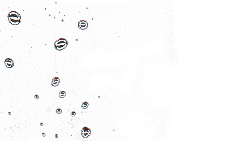 Scanography | What is scanography? — Haley Nelson