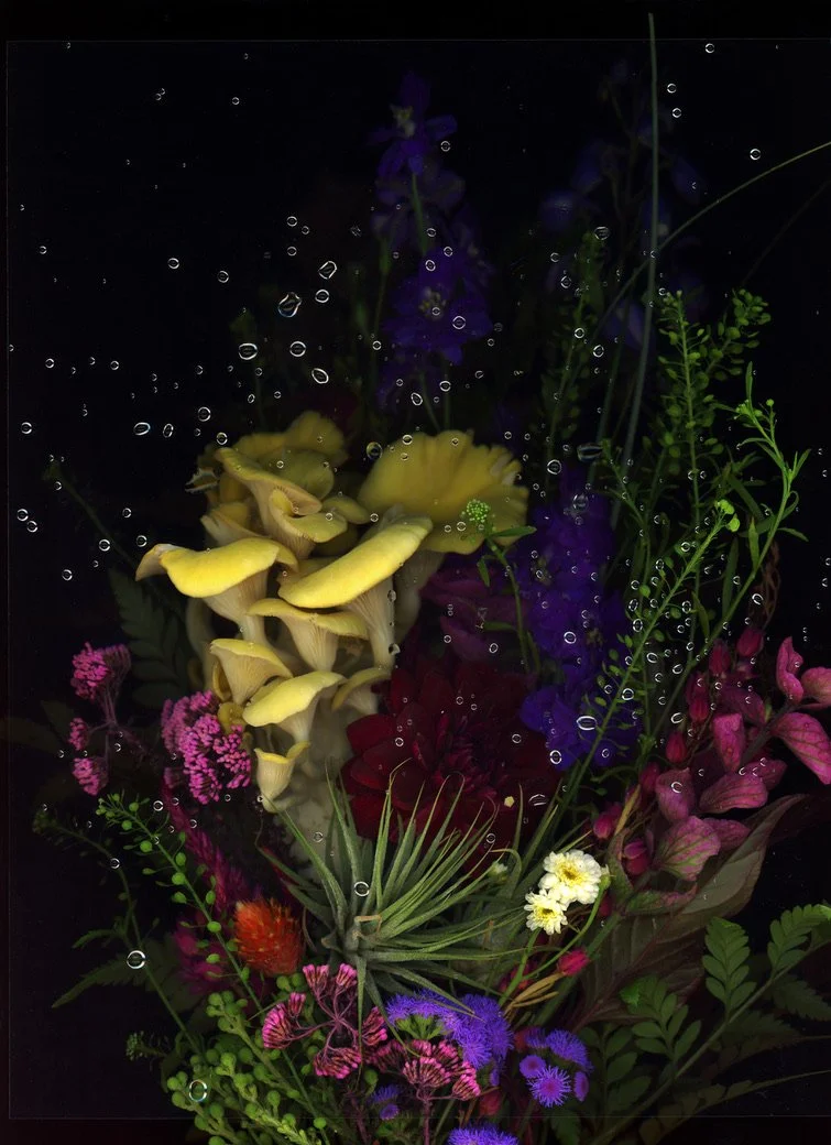 Scanography | What is scanography? — Home