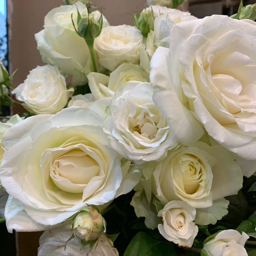 Les Fleurs — L'arrosoir Paris