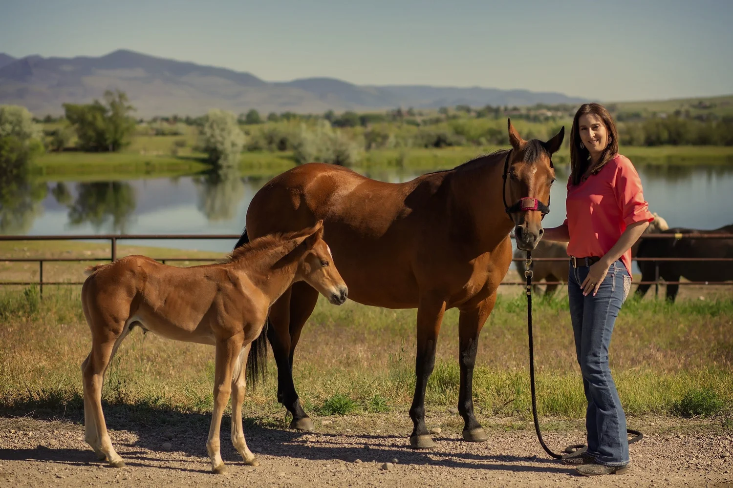 Peace of Mind | Lisa Turk