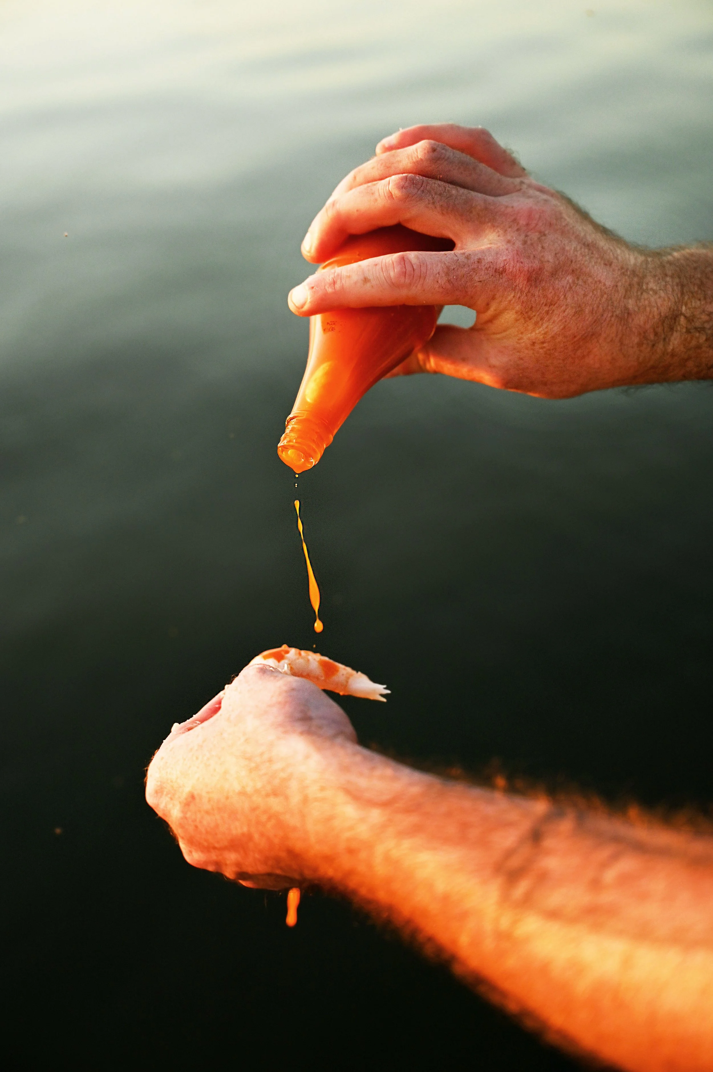 gallery — Brochu's Family Tradition