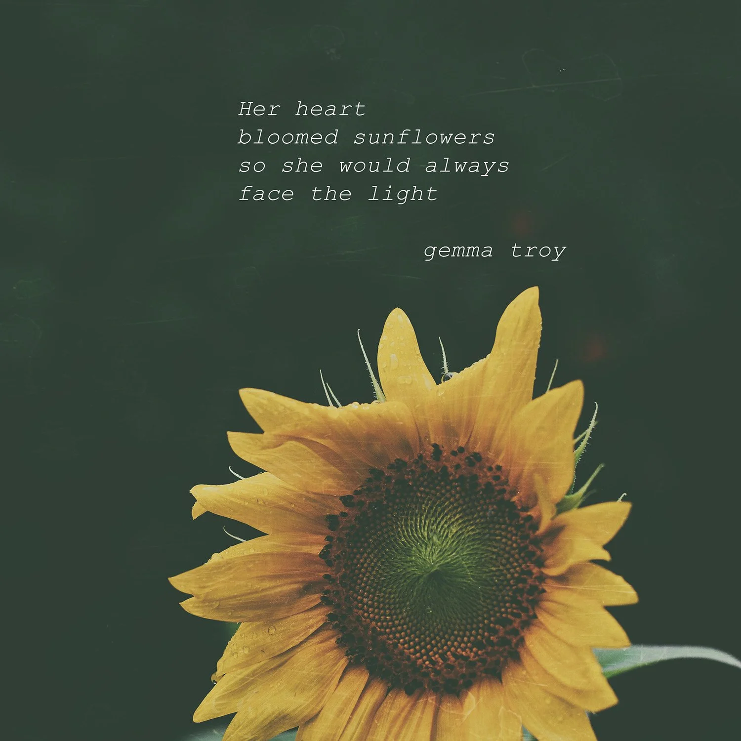 The power of poetry — Gemma Troy