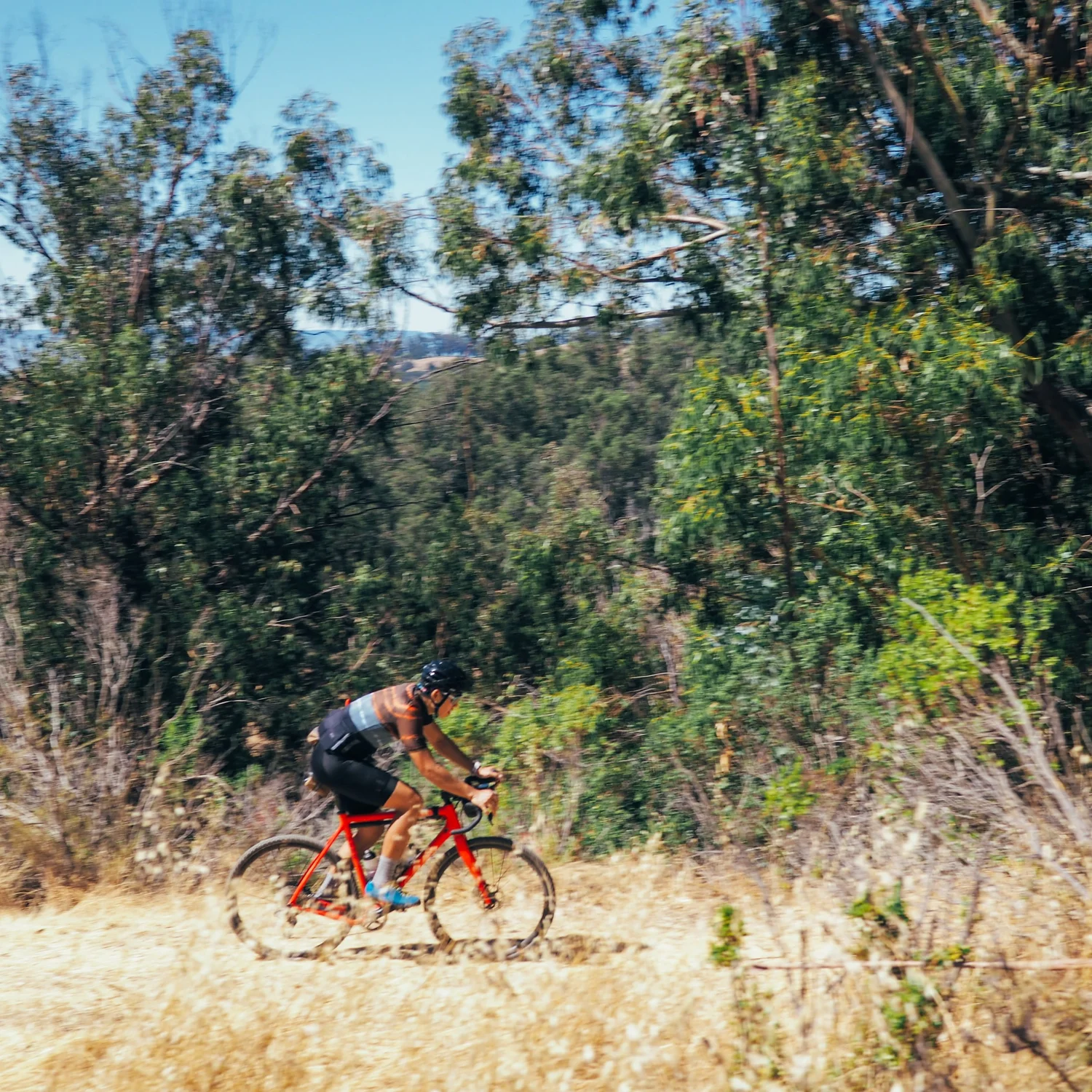 Classic: Lake Chabot Loop "Best of East Bay" Gravel Cycling Route San ...