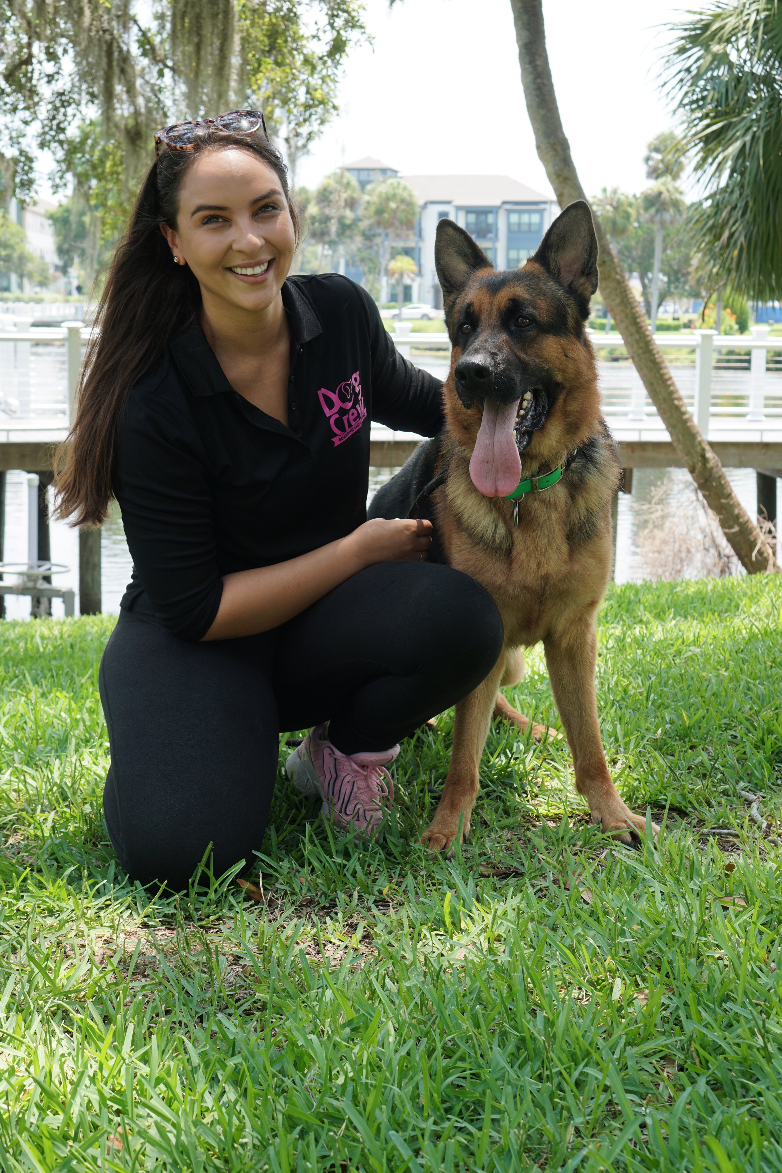 Training & Boarding Services — Dog Crew | Tampa Dog Training and Boarding