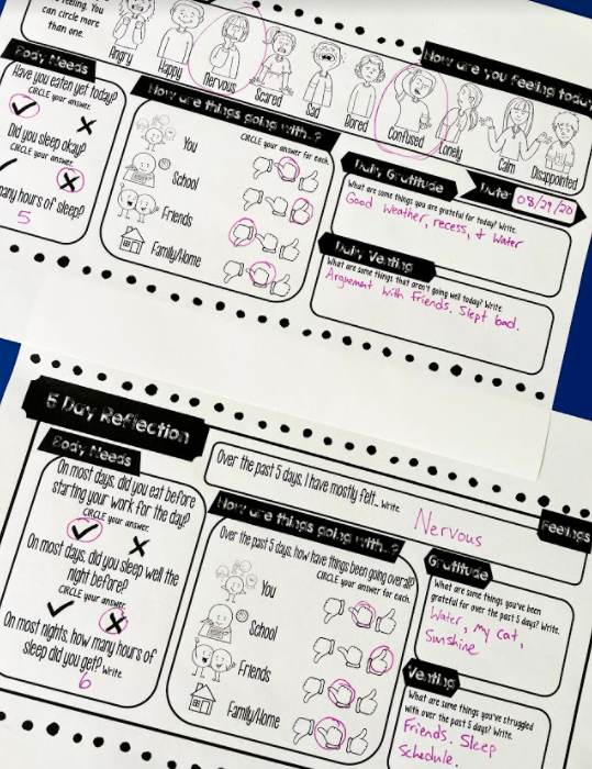 Check In, Check Out Daily Form for SEL Needs — Coconut Counselor