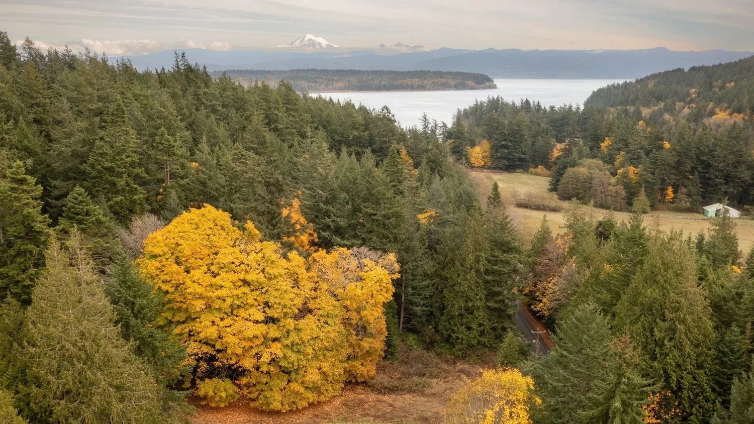 Lummi Island Heritage Trust