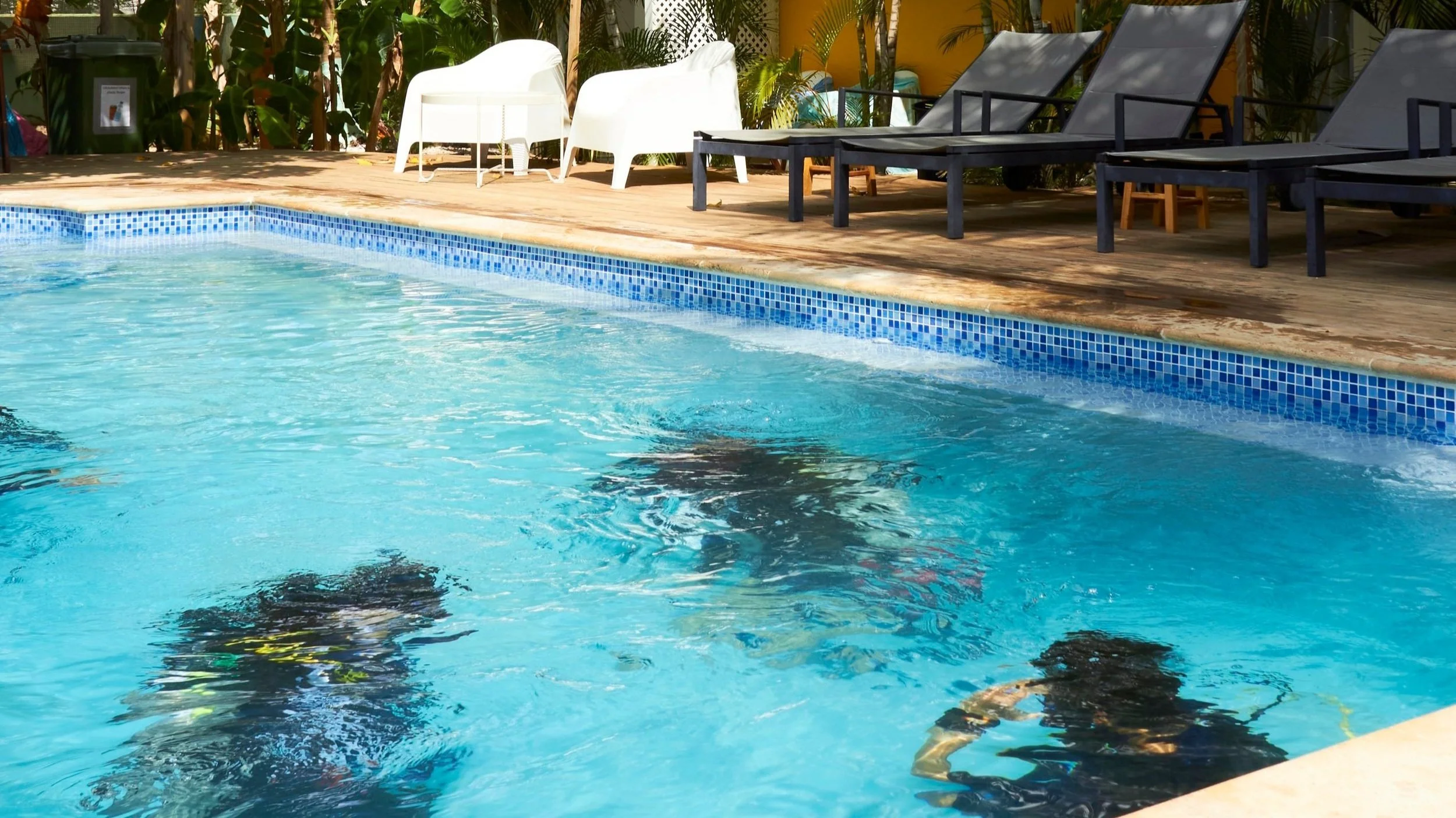 From Diver to Dive Leader — What If This Is Your Moment? — Scuba Elite ...