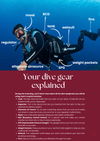 Free Downloads — Scuba Elite | PADI dive shop Bonaire